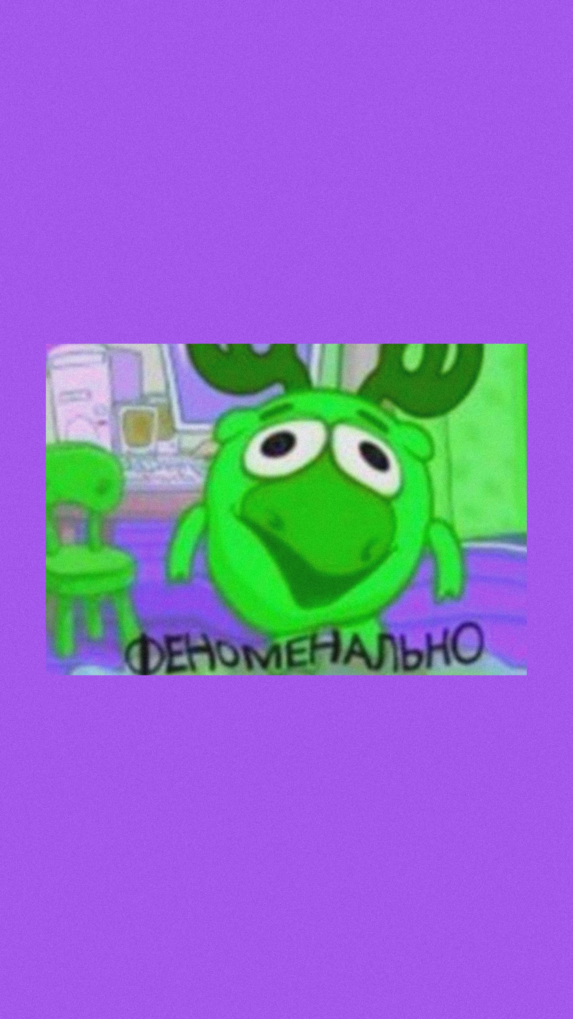30+ Смешные мемы обои на телефон от bpestova